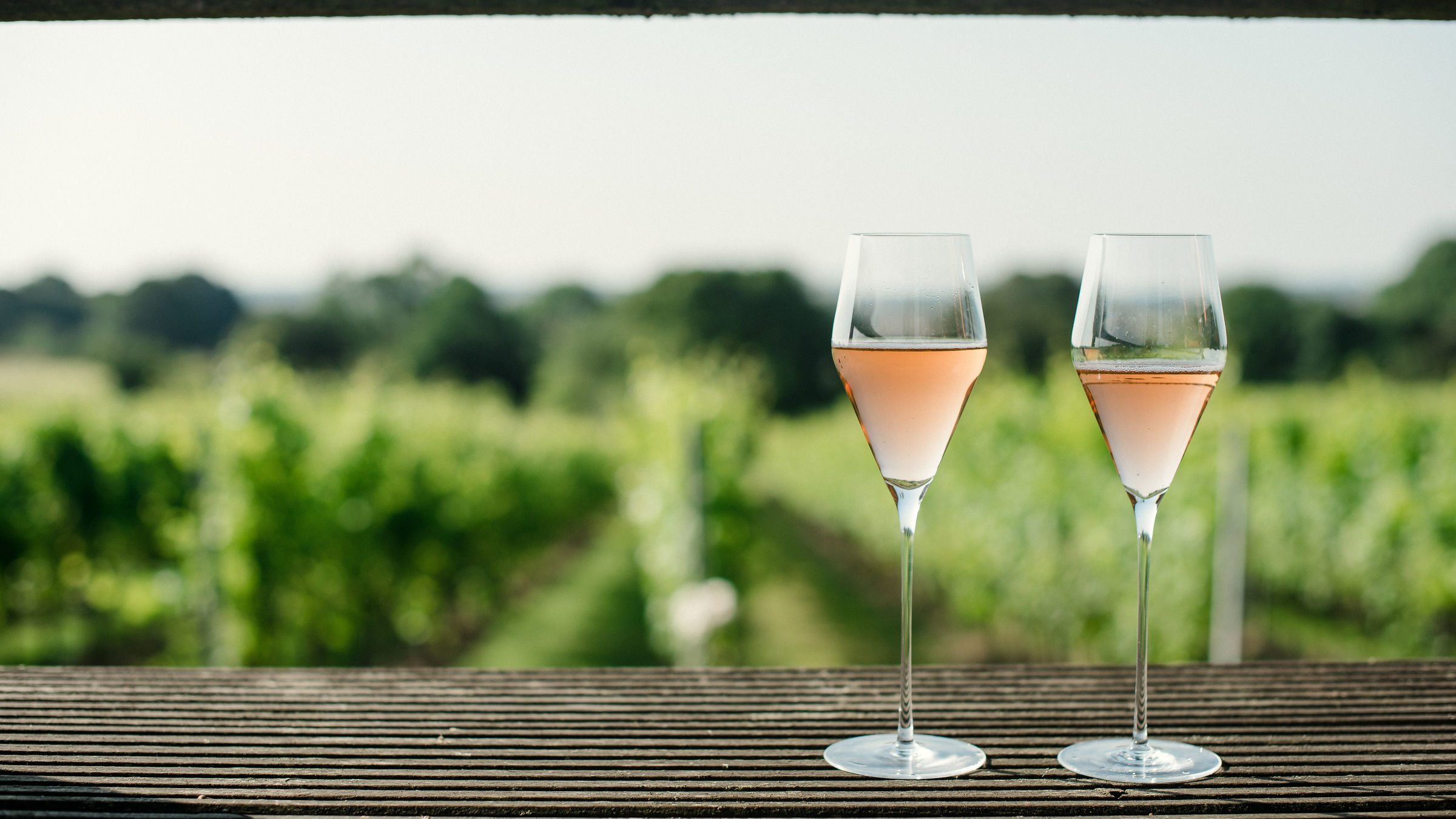 English Rosé Bar | Gusbourne Fine English Wines