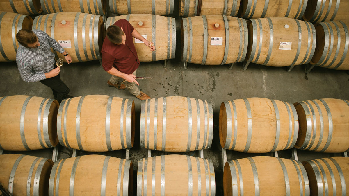 The Nest at Gusbourne | Harvest Estate Tour 2025