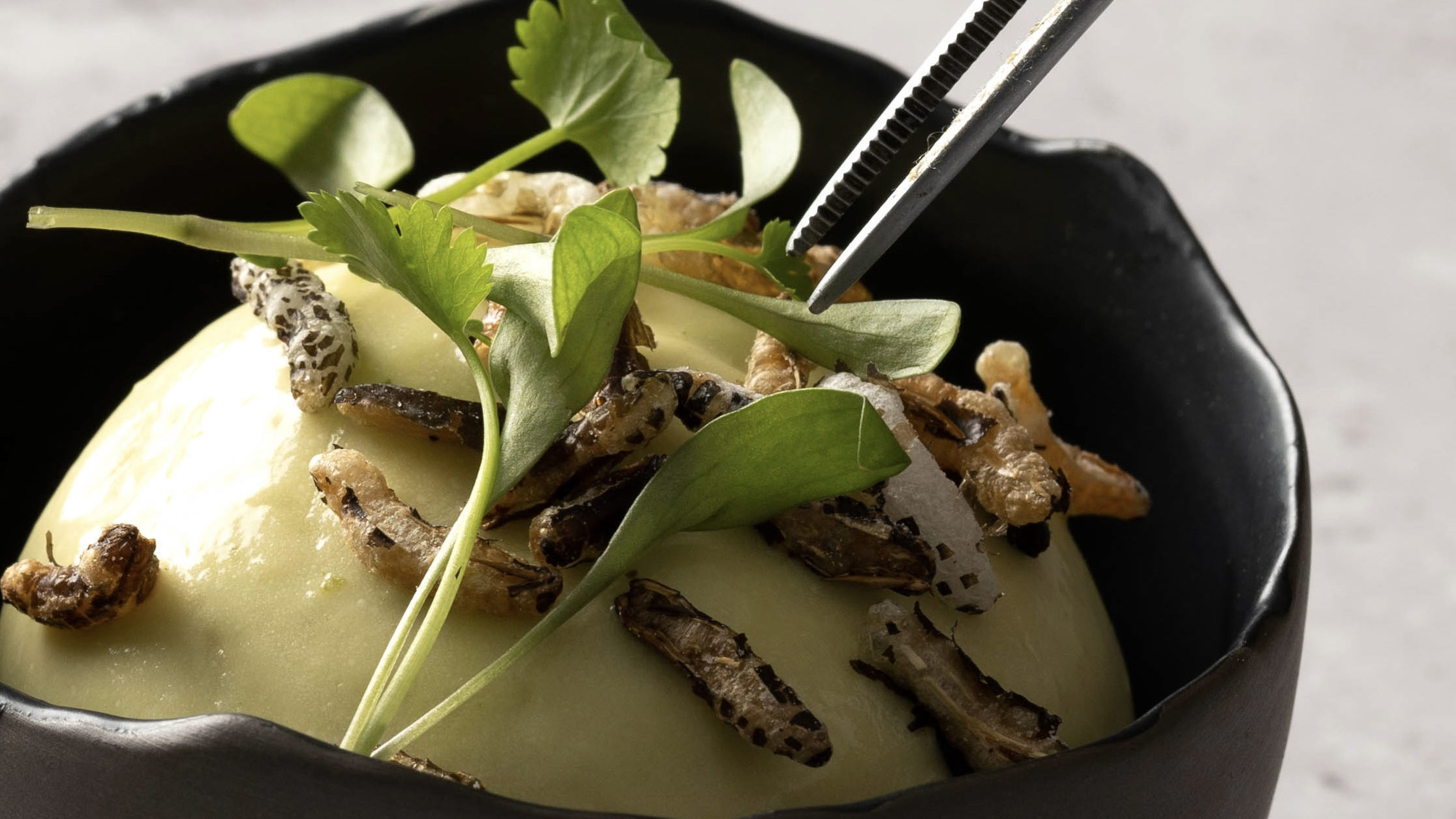 The Nest at Gusbourne | Gusbourne x Tom Shepherd of Upstairs - Lunch