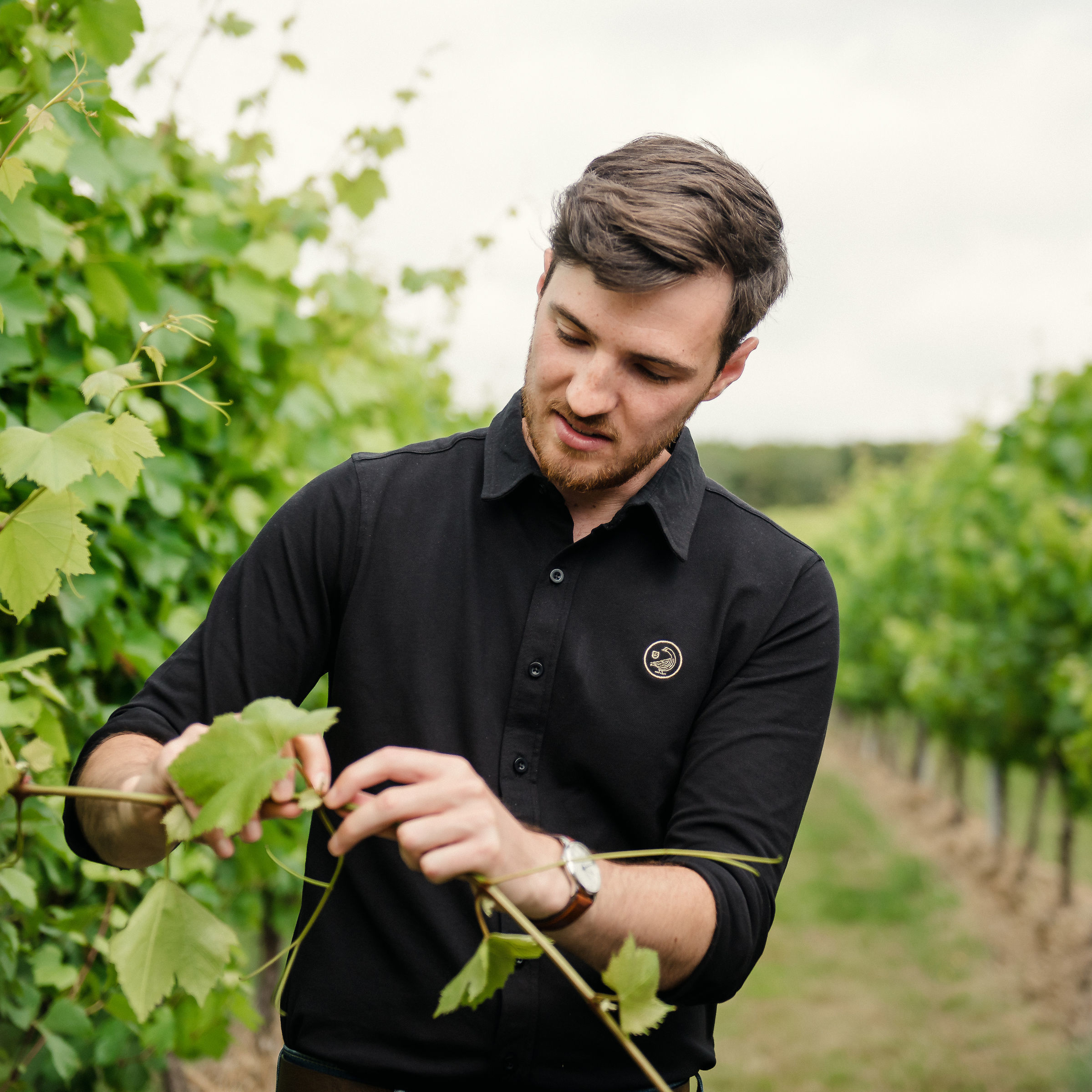 Our Partners | Gusbourne Fine English Wines