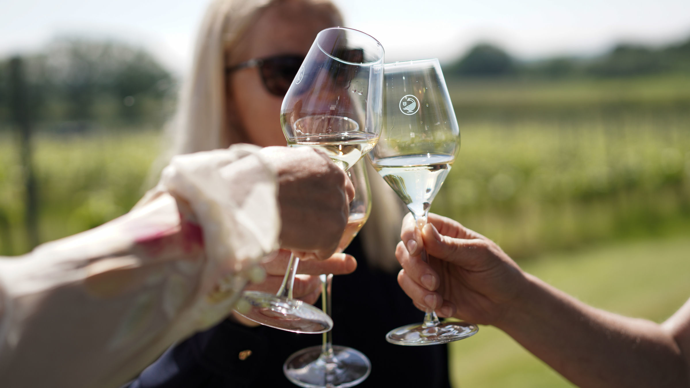 The Nest at Gusbourne | Classic Vineyard Tour and Tasting