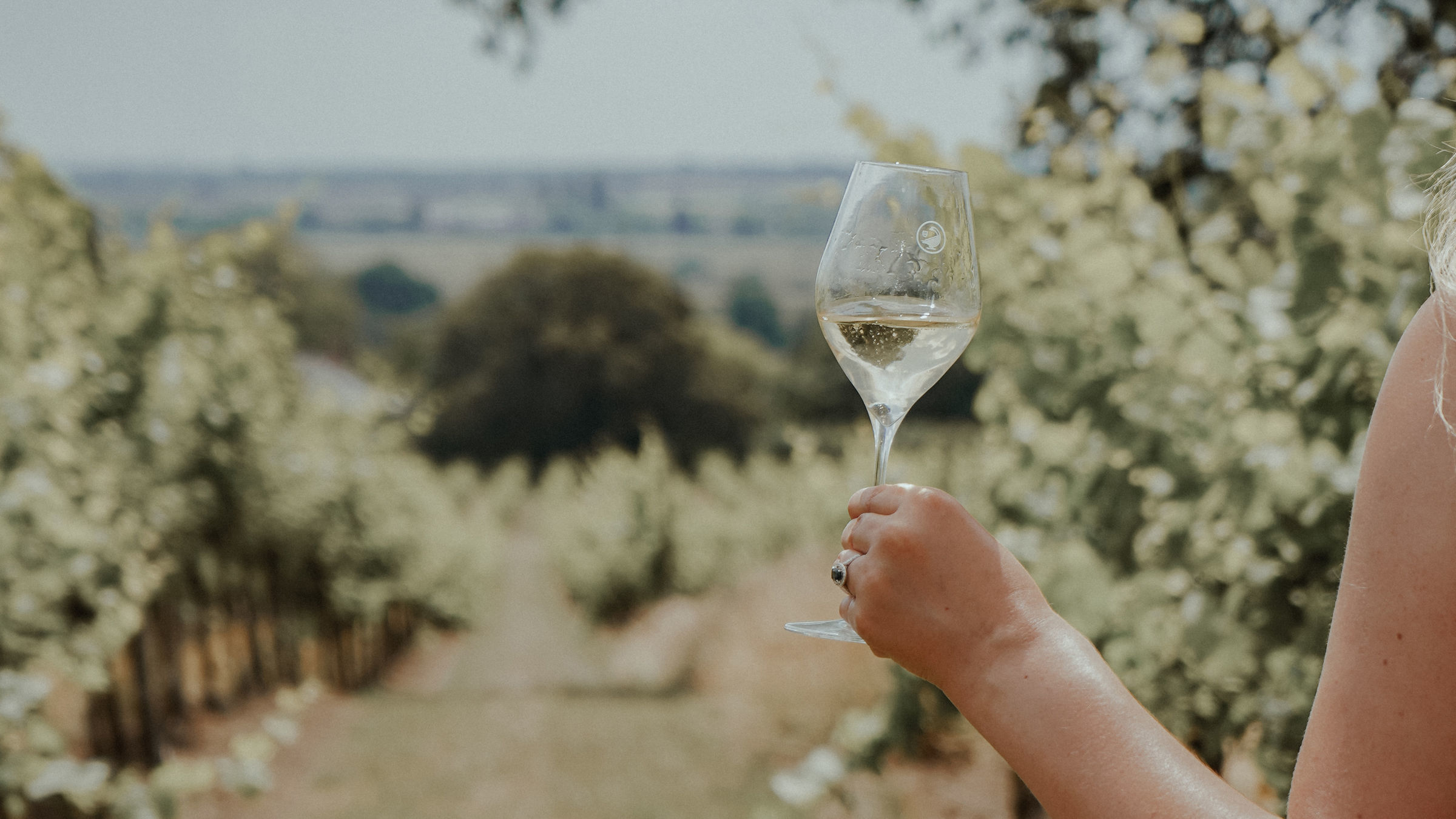 The Nest at Gusbourne | Classic Vineyard Tour and Tasting