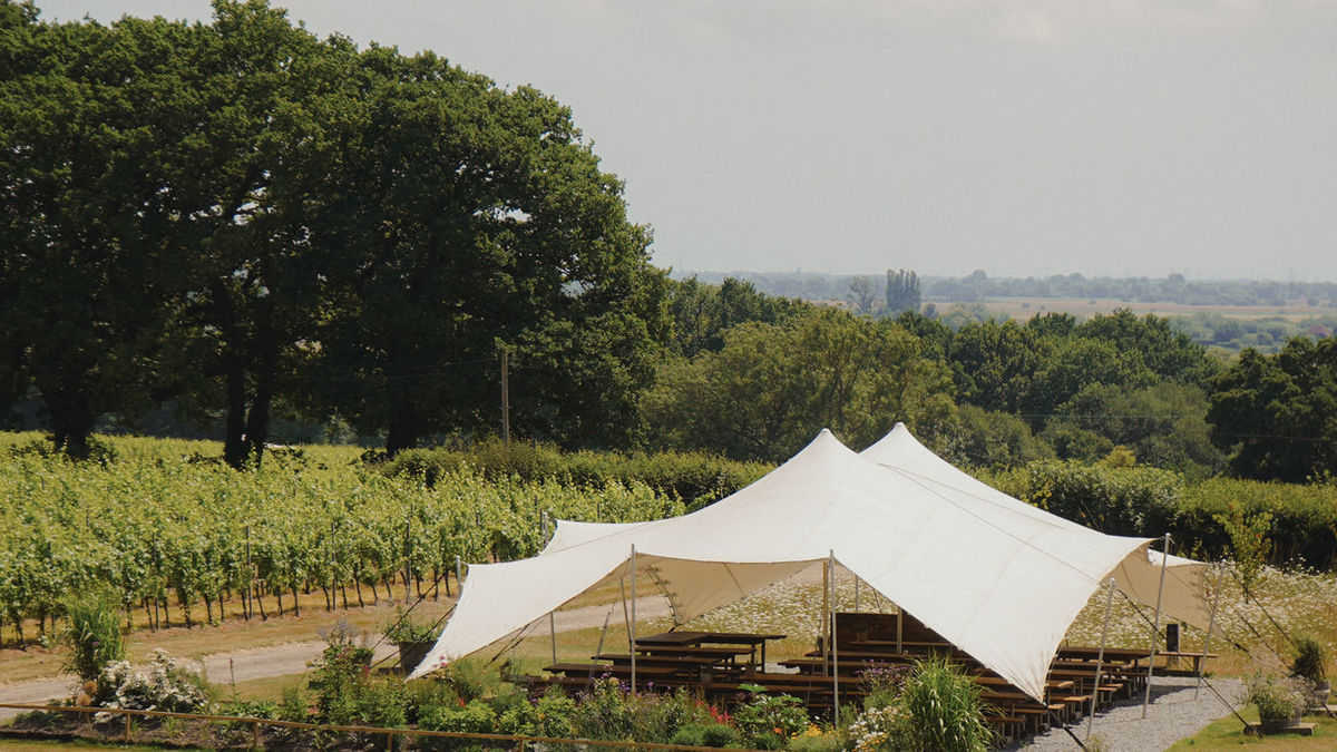 Visitor Survey Prize Draw: Terms & | Gusbourne Fine English Wines