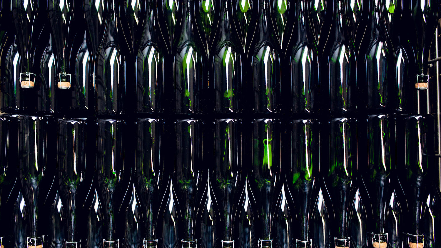 The Nest at Gusbourne | Gusbourne Autumn Tasting at Glaziers Hall,