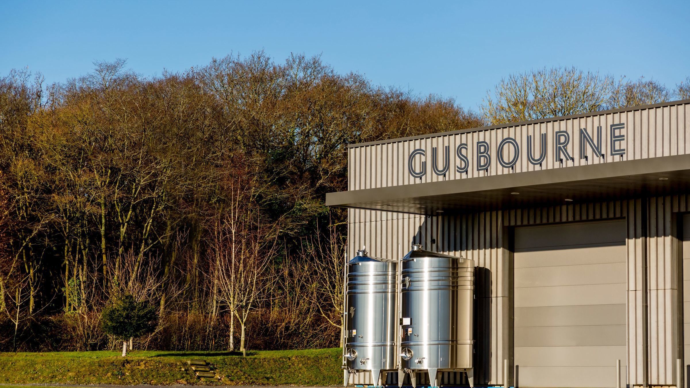 The Harvest Report | Gusbourne Fine English Wines